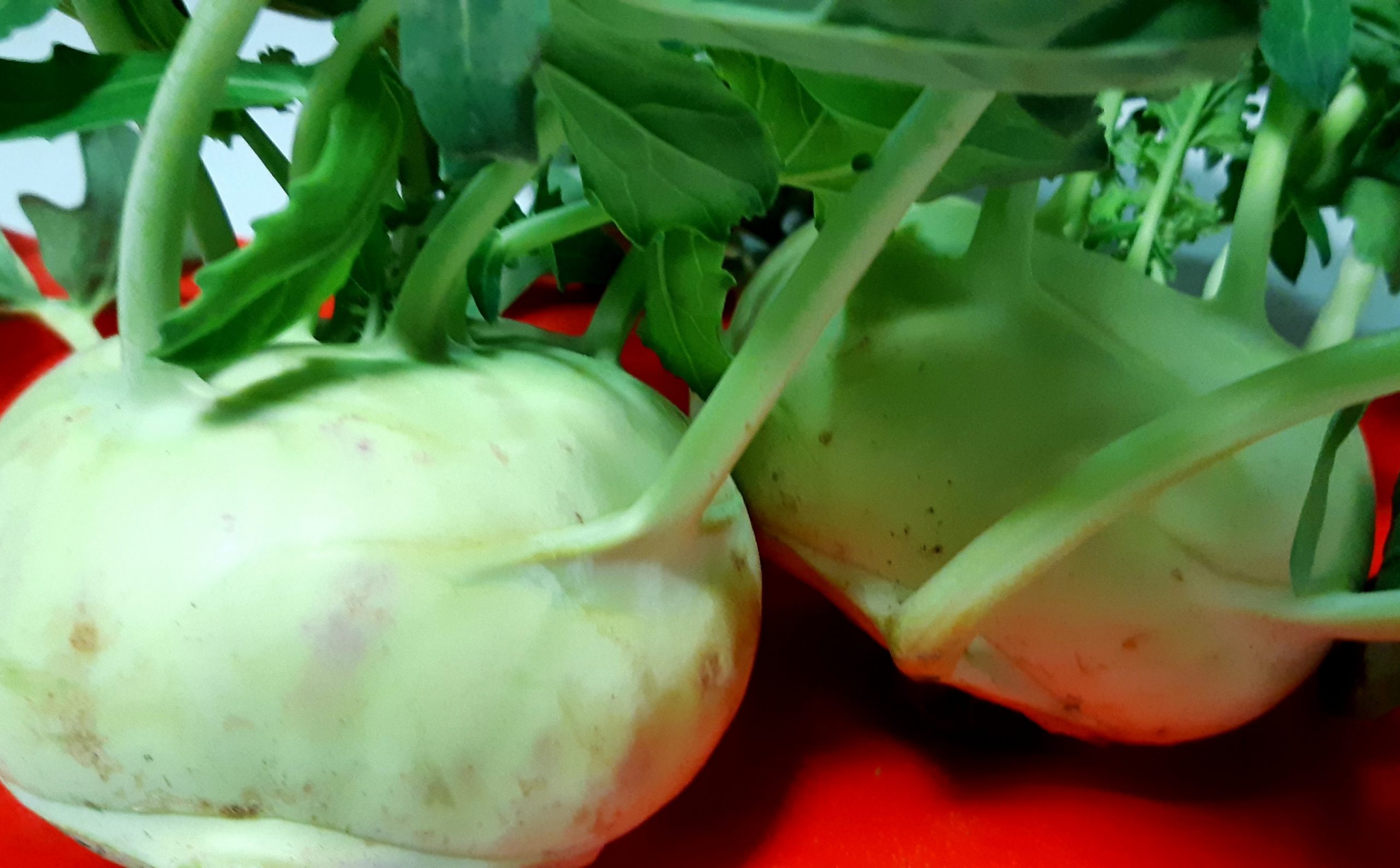 Comprar Colinabo fresco-kohlrabi